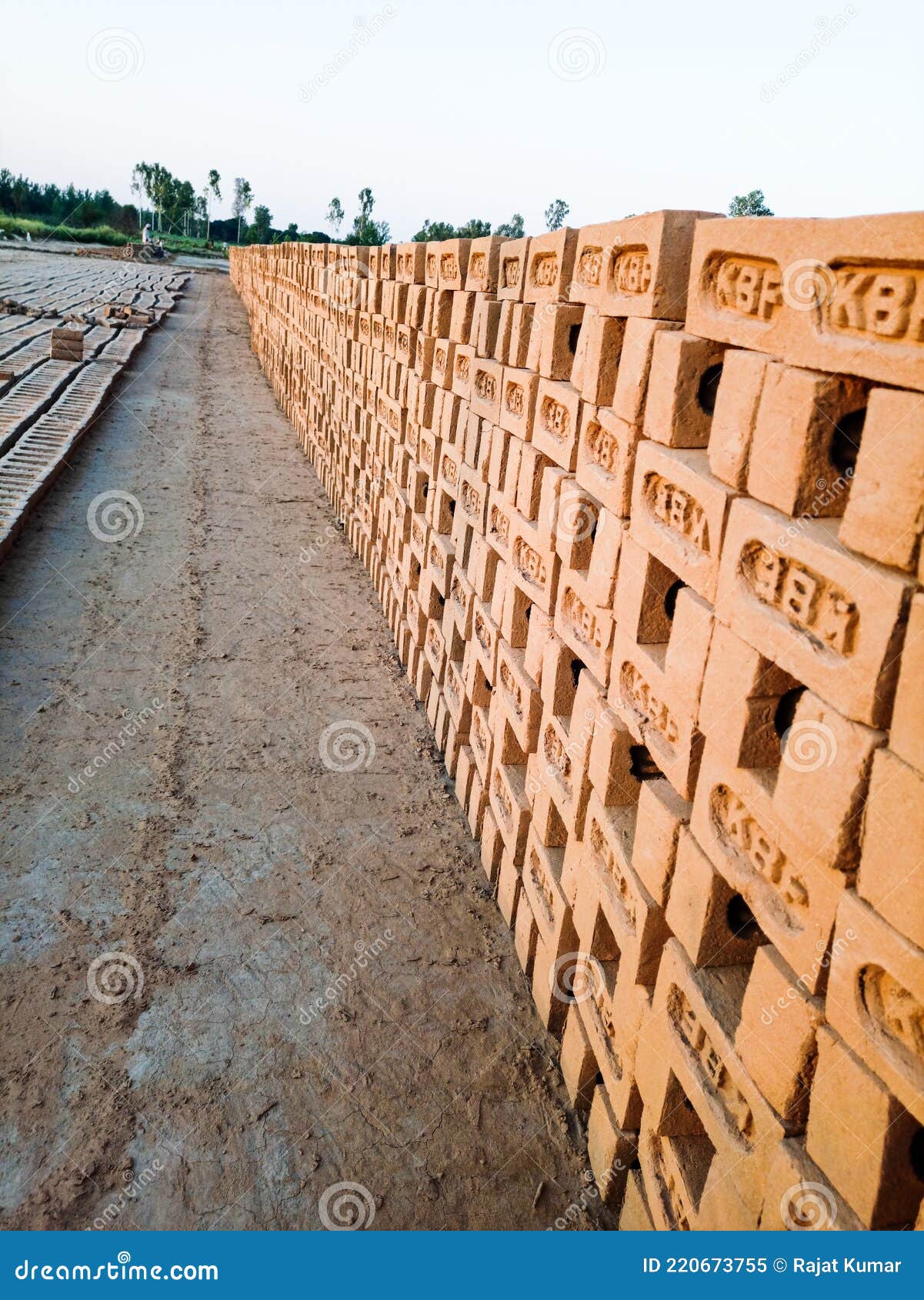 Bricks On Walkway At Burnham Park, Baguio, Philippines Editorial Photo ...