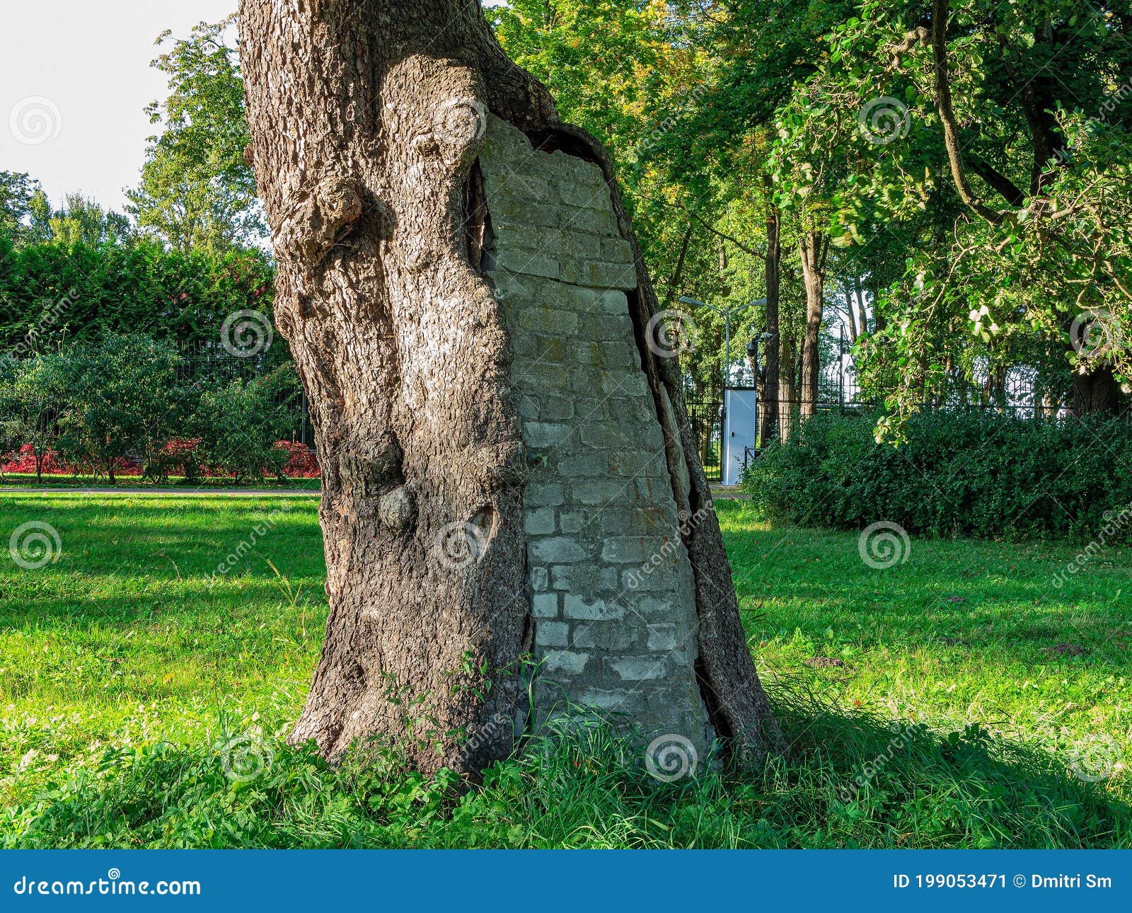 Bricks in a tree stock image. Image of framework, artwork - 199053471