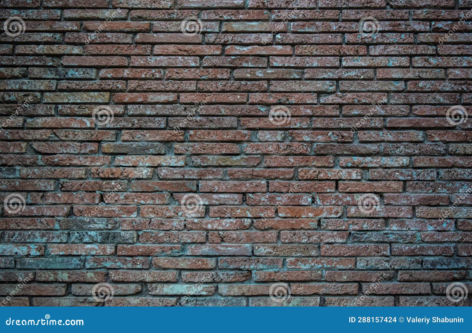 Bricks_small stock photo. Image of rock, floor, asphalt - 288157424