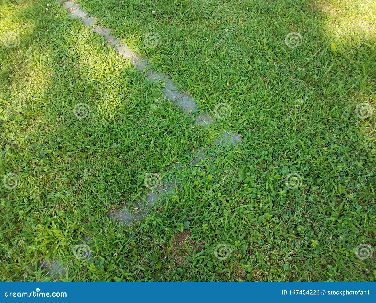 Bricks or Stone in the Ground with Green Grass Stock Photo - Image of ...