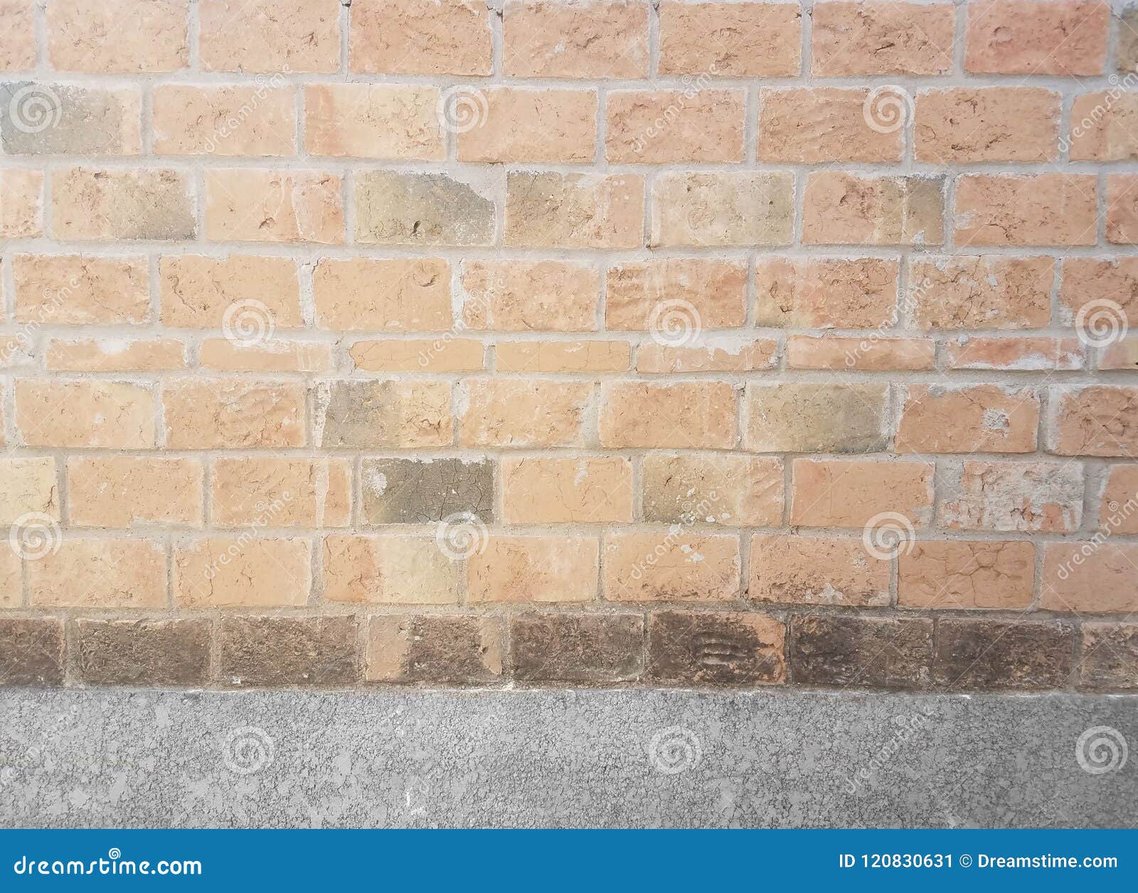 Here is a Mexican Brick Wall. Stock Image - Image of dead, green: 120830631