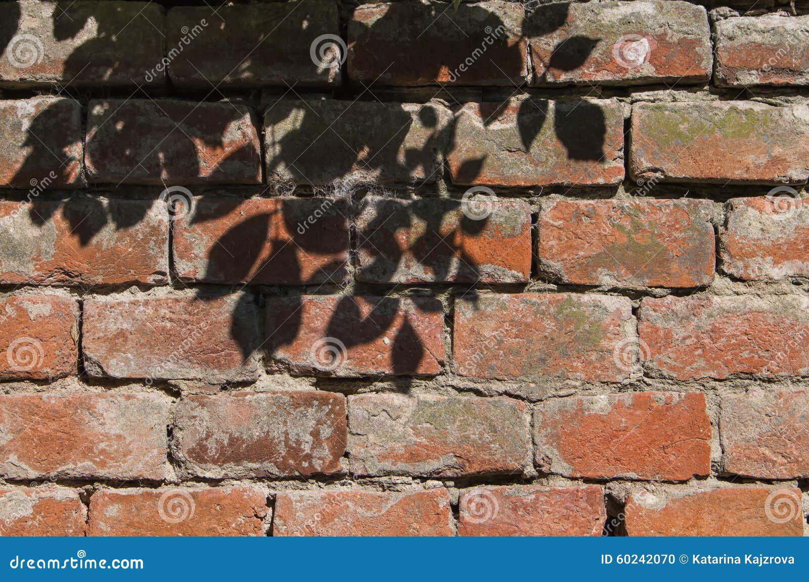 Bricks and twig texture stock photo. Image of building - 60242070