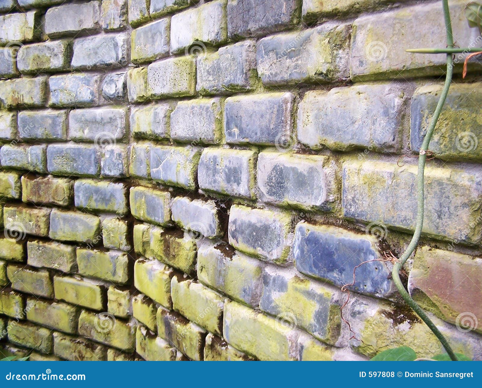 Bricks wall stock photo. Image of block, wall, rock, brick - 597808