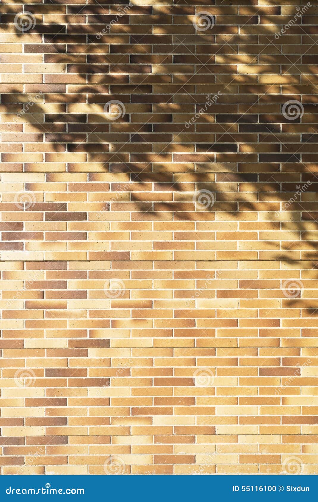 Bricks Wall with Tree Shadow Stock Photo - Image of square, wallpaper ...