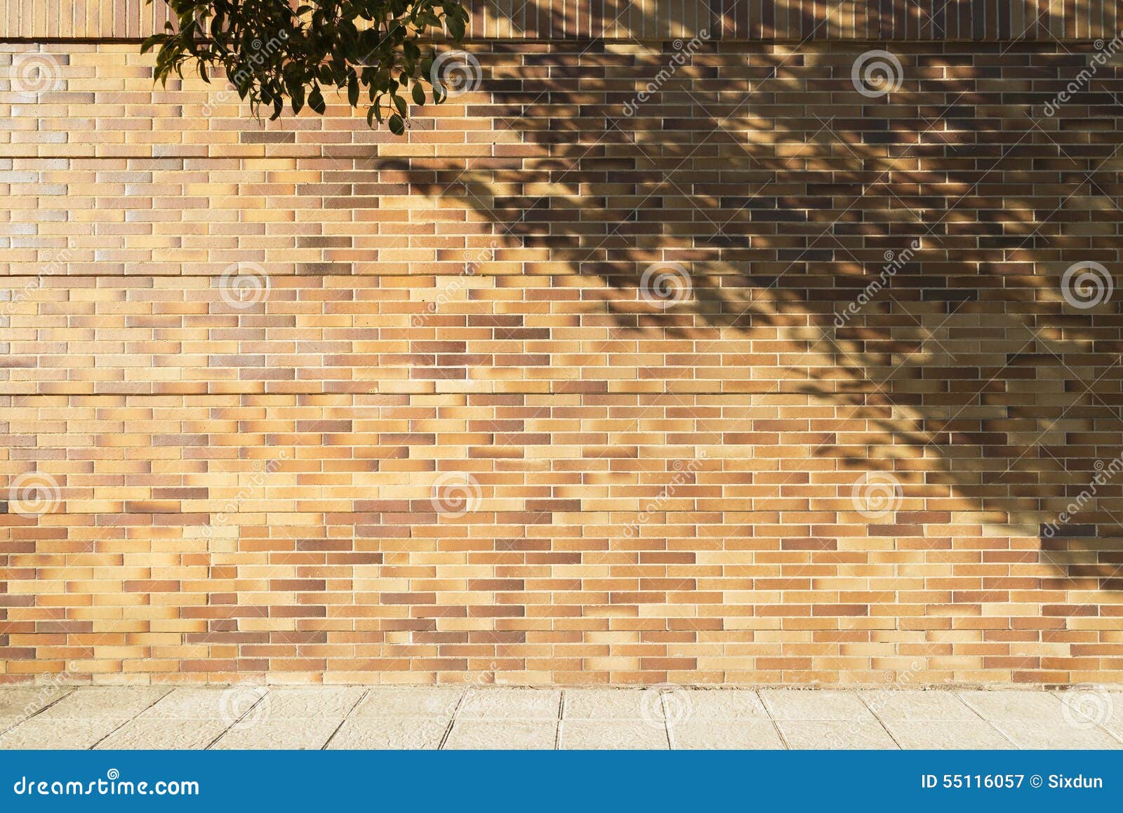 Bricks Wall with Tree Shadow and Sidewalk Stock Image - Image of shadow ...