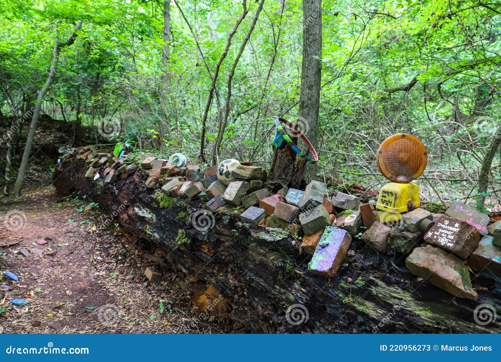Bricks with Words Written on Them Laying on Top of a Fallen Tree in the ...