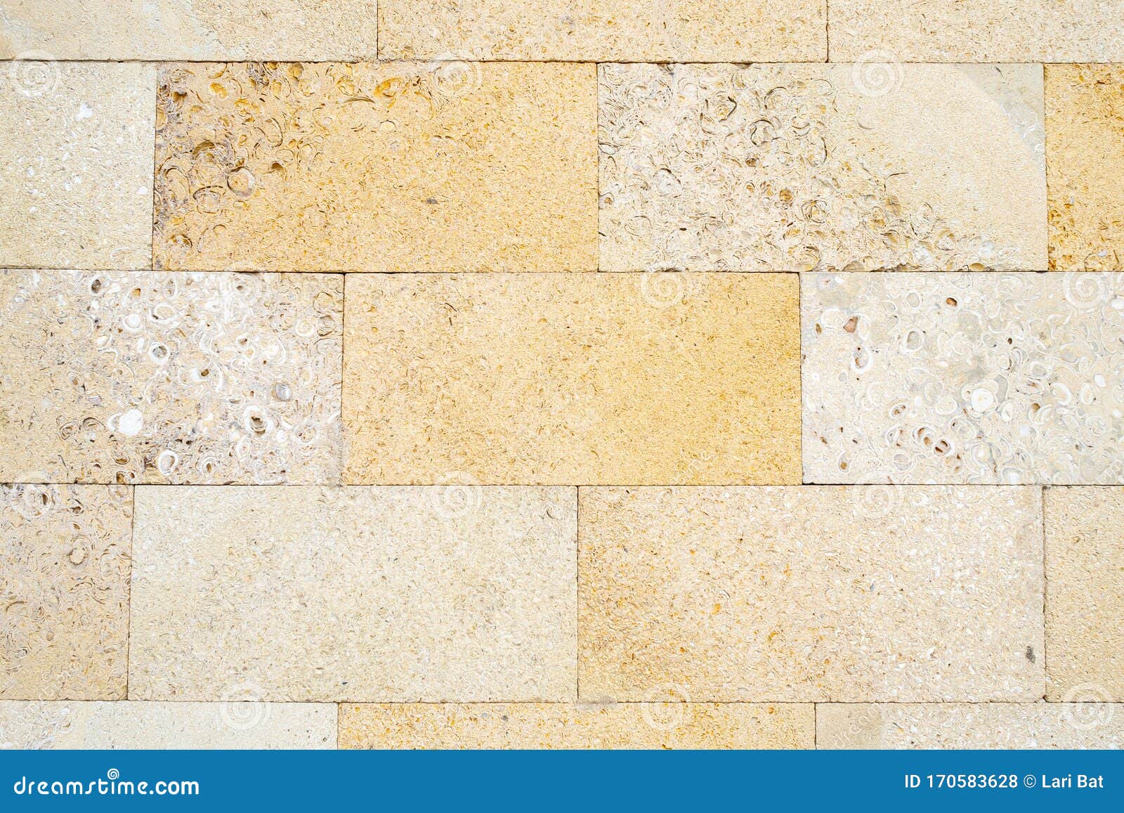 Brickwork of a Shell Rock. Stone Porous Texture with Splashes of Shell ...