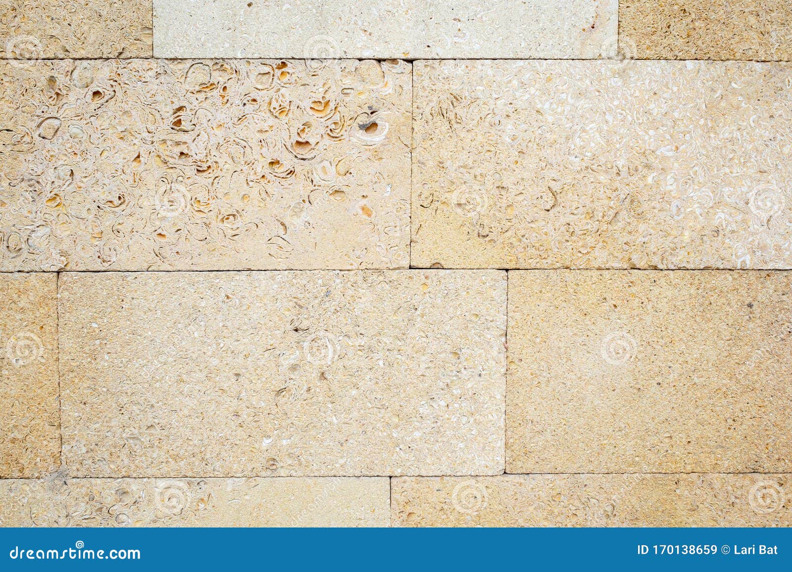 Brickwork of a Shell Rock. Stone Porous Texture with Splashes of Shell ...