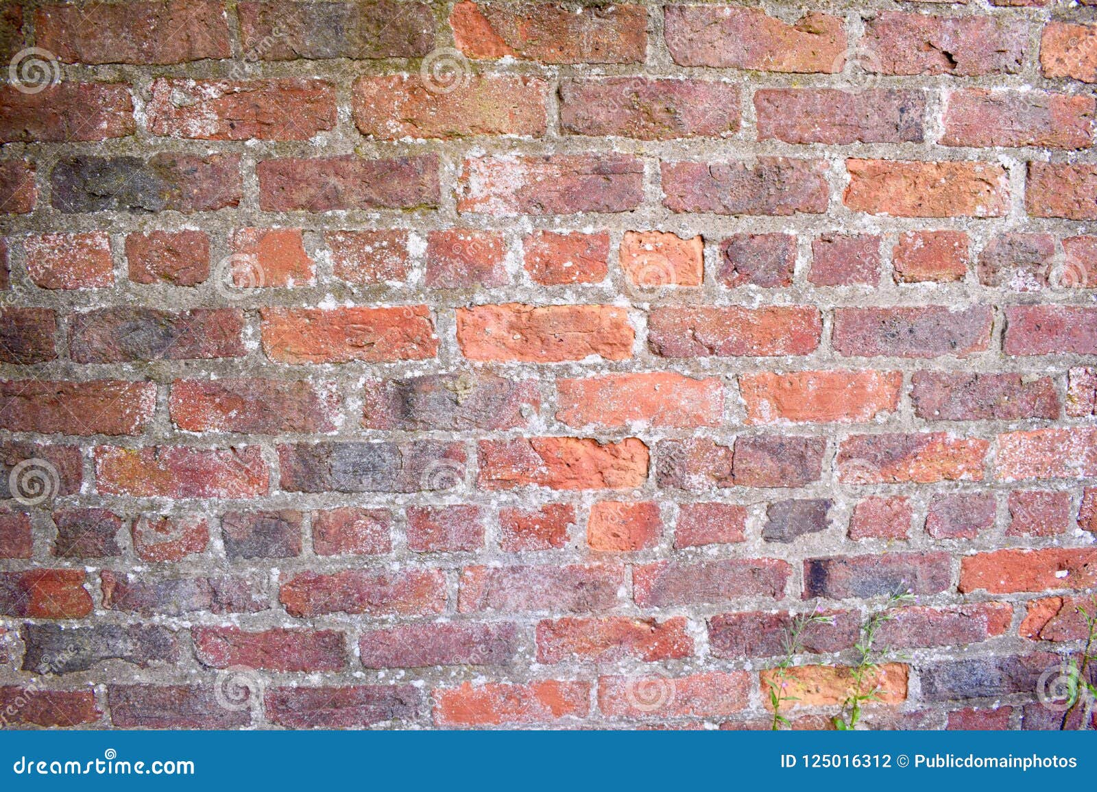 Brickwork, Wall, Brick, Stone Wall Picture. Image: 125016312