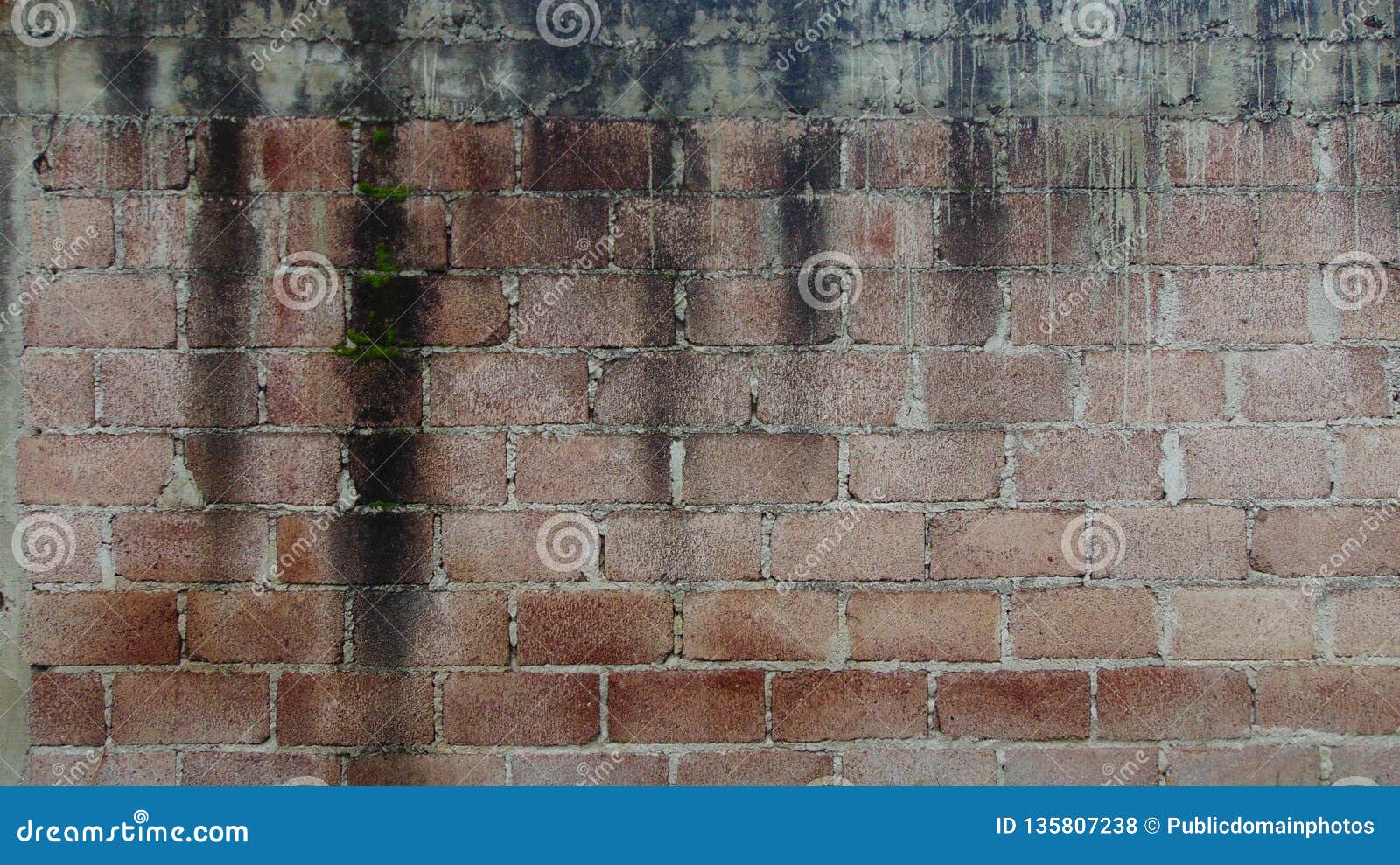 Brickwork, Wall, Brick, Stone Wall Picture. Image: 135807238