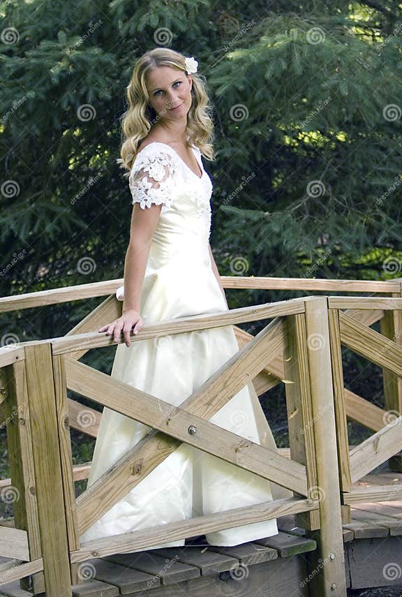 Bridal stock photo. Image of female, pretty, woman, dress - 2994758