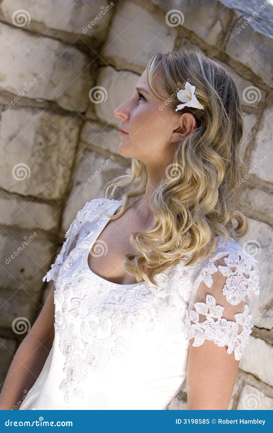 Bridal stock image. Image of dress, bride, blond, bridal - 3198585