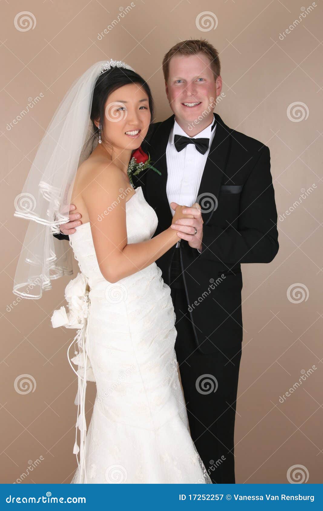Bridal Couple stock image. Image of bridal, intimate - 17252257