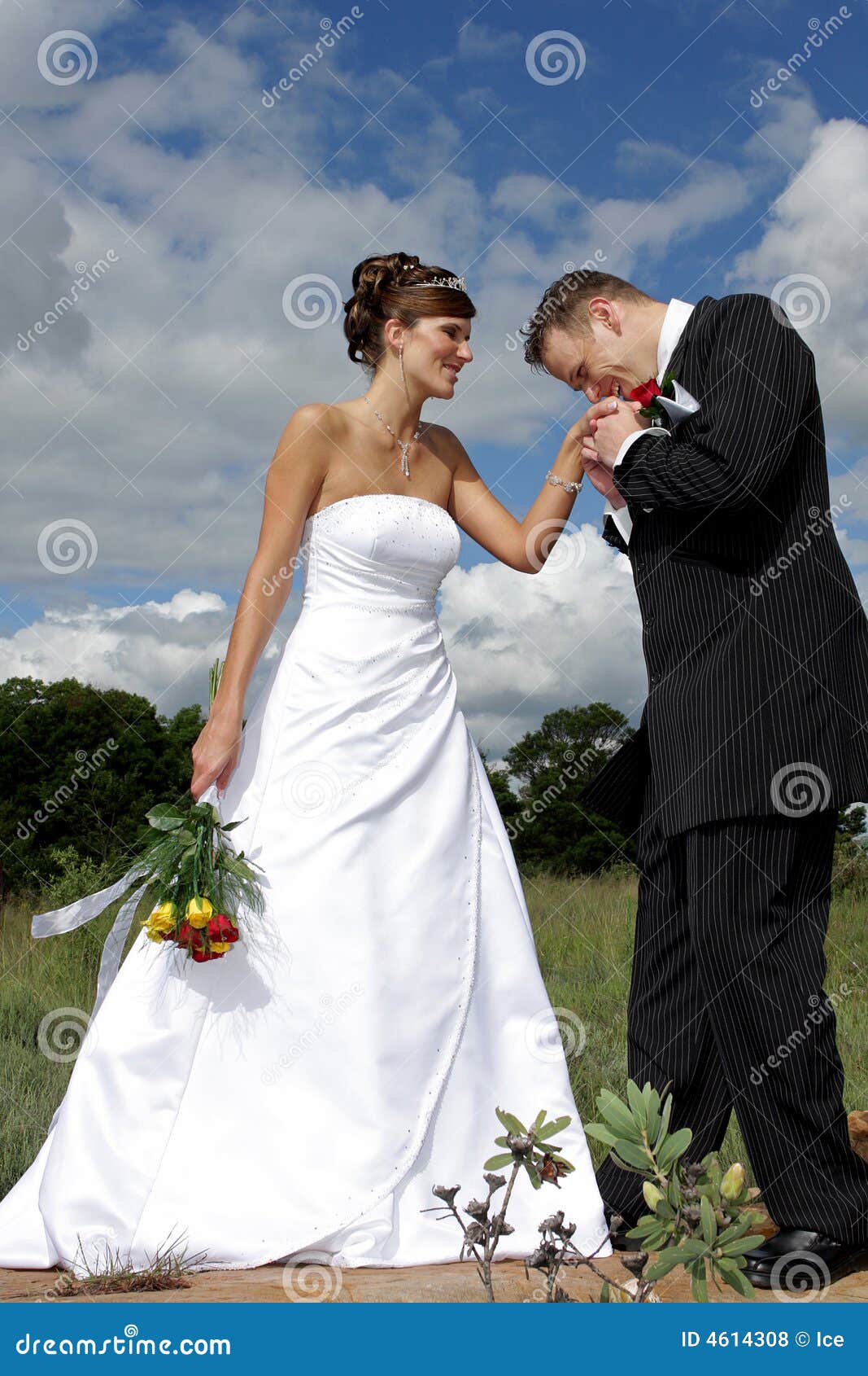 Bridal Couple stock photo. Image of celebration, holding - 4614308