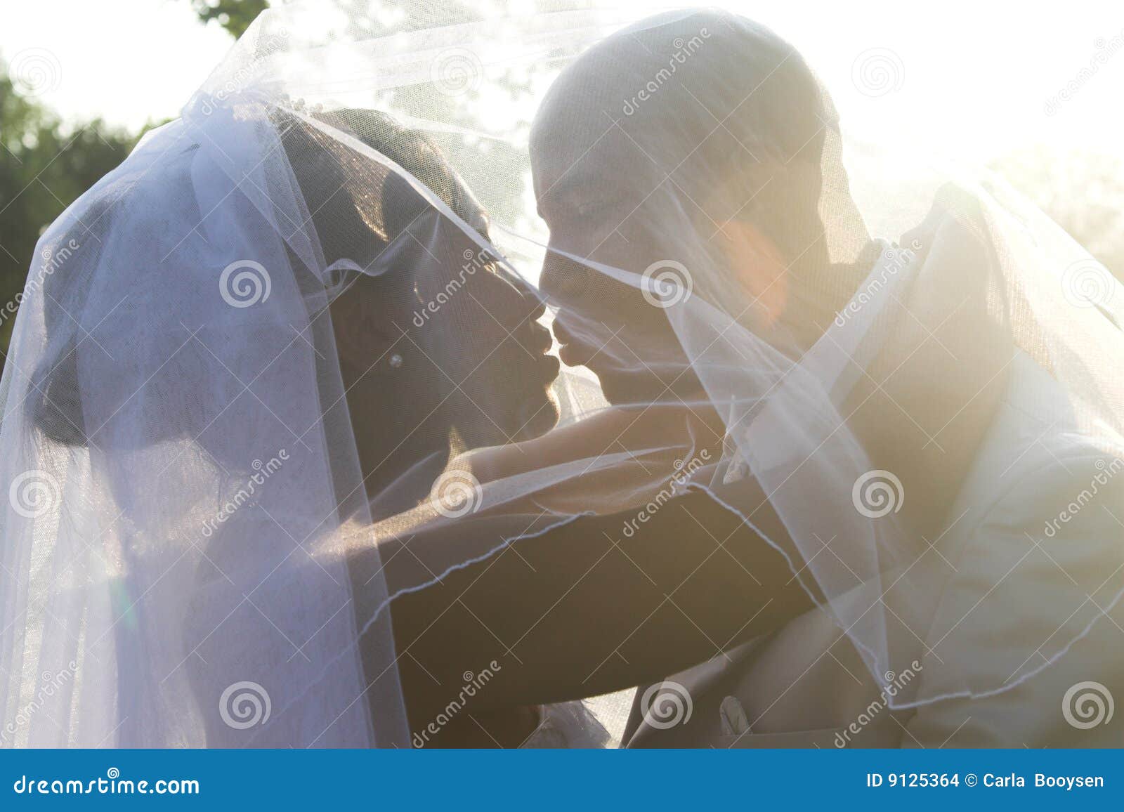 Bridal Couple stock photo. Image of male, band, love, bridal - 9125364