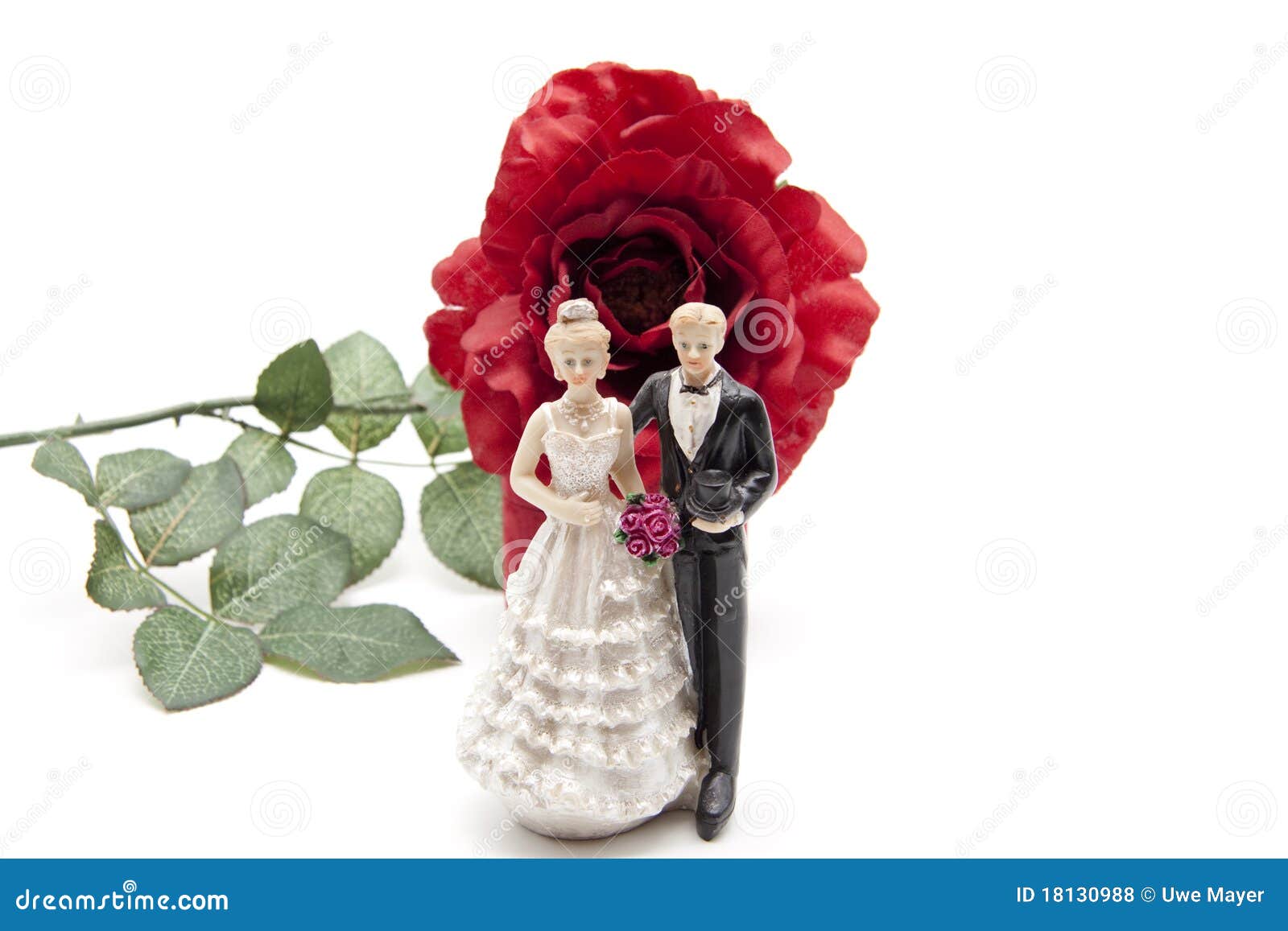 Bridal couple and red rose stock photo. Image of rose - 18130988