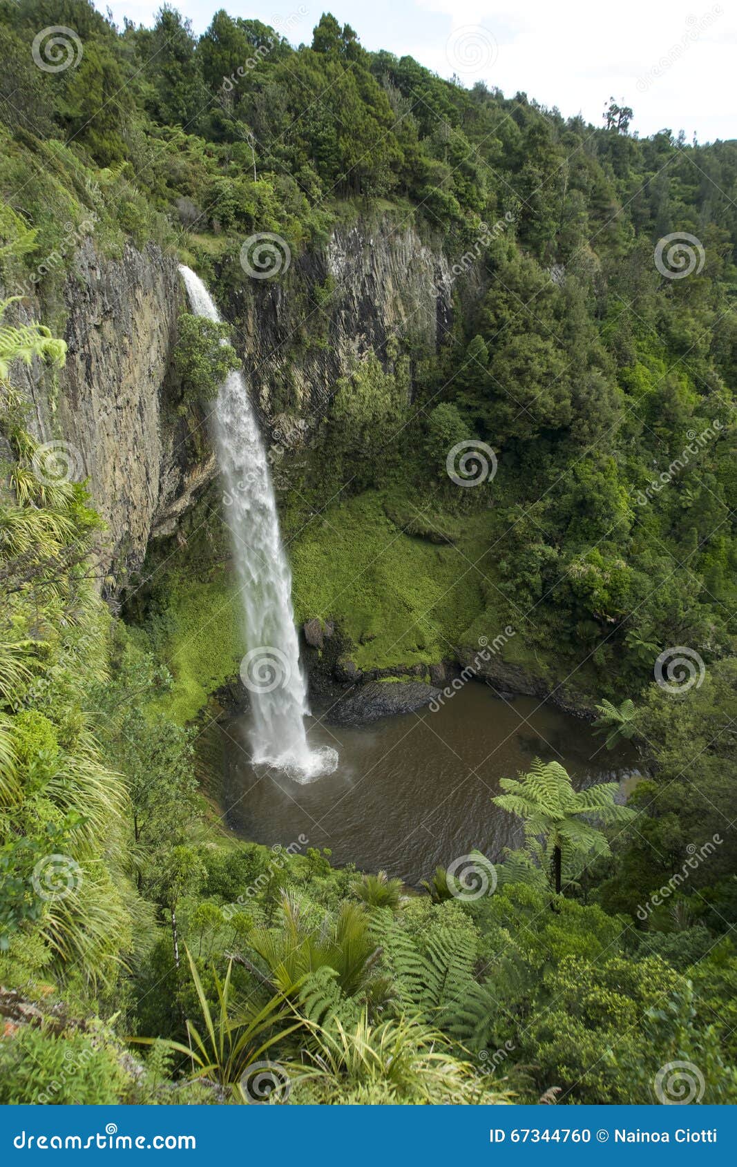 Bridal falls New Zealand stock photo. Image of meter - 67344760