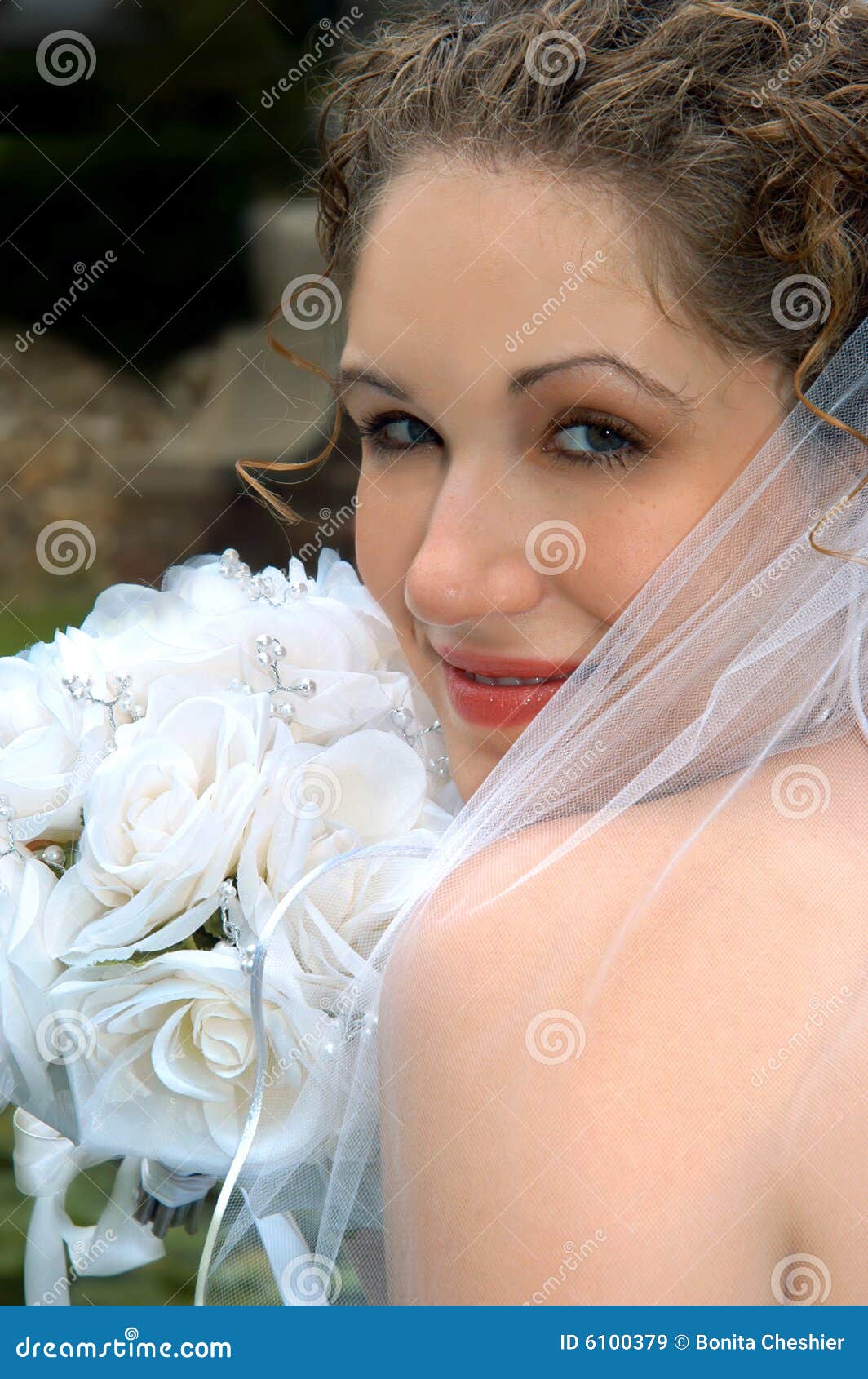 Bridal Glow stock image. Image of beaming, garden, contentment - 6100379