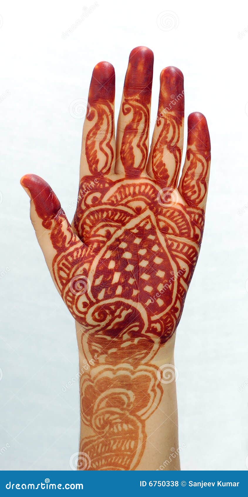 Bridal hand stock photo. Image of body, bowl, cultural - 6750338