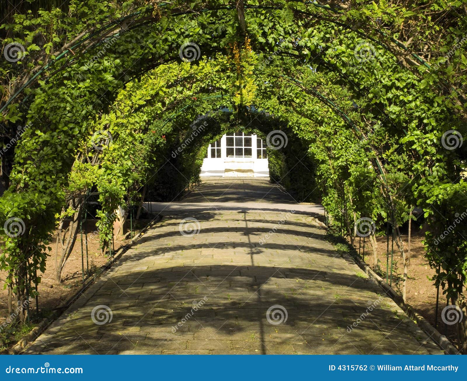 Bridal Path stock photo. Image of aisle, scenery, conceptual - 4315762