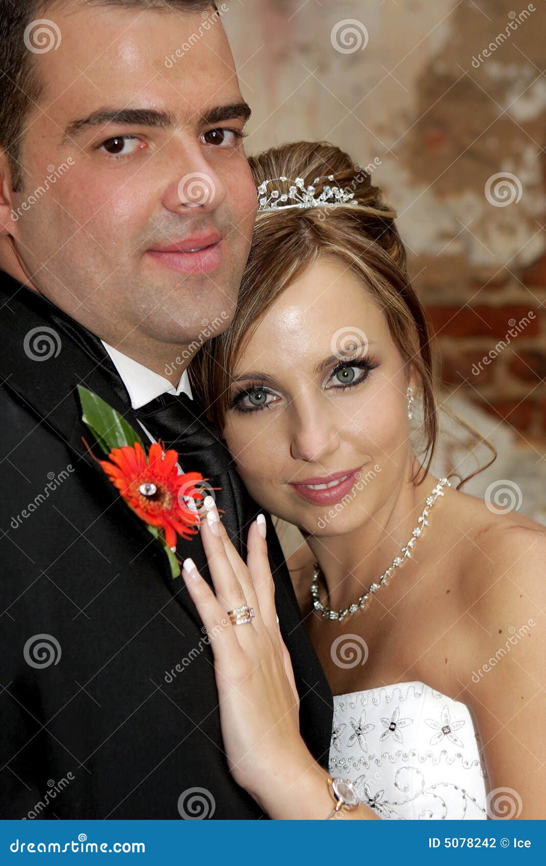 Bridal Portrait stock photo. Image of dress, bride, portrait - 5078242