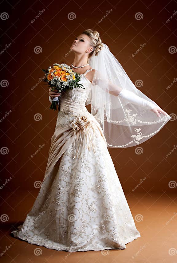 Bride stock photo. Image of bride, marriage, love, celebration - 10501926