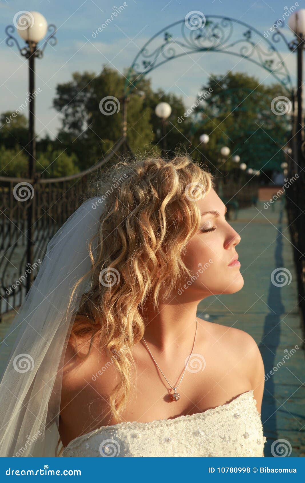Bride stock photo. Image of glamorous, long, female, nature - 10780998