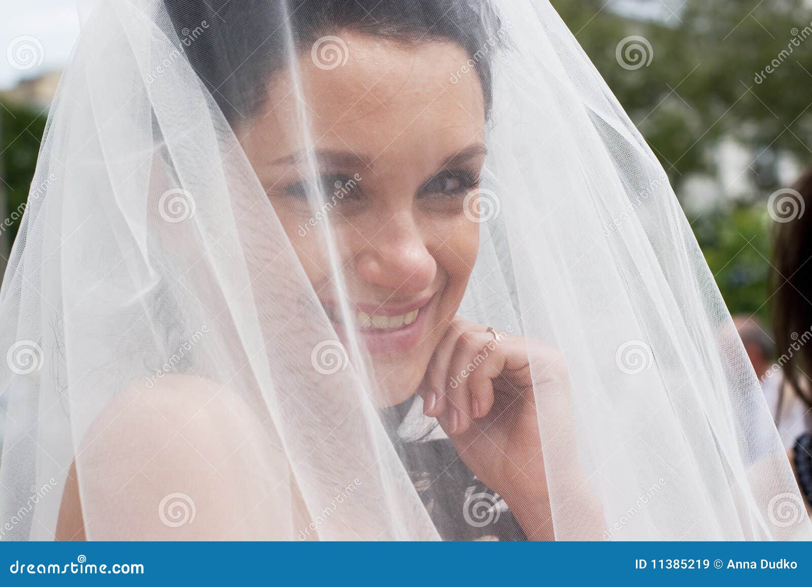Bride stock image. Image of beautiful, wedding, stylish - 11385219