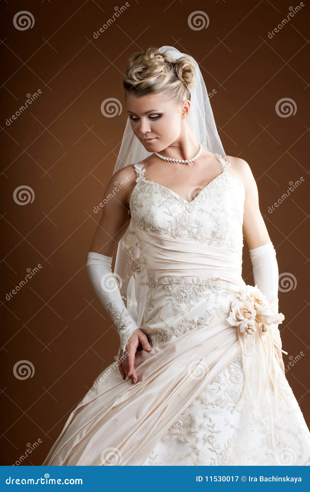 Bride stock image. Image of hair, elegant, bridal, marriage - 11530017