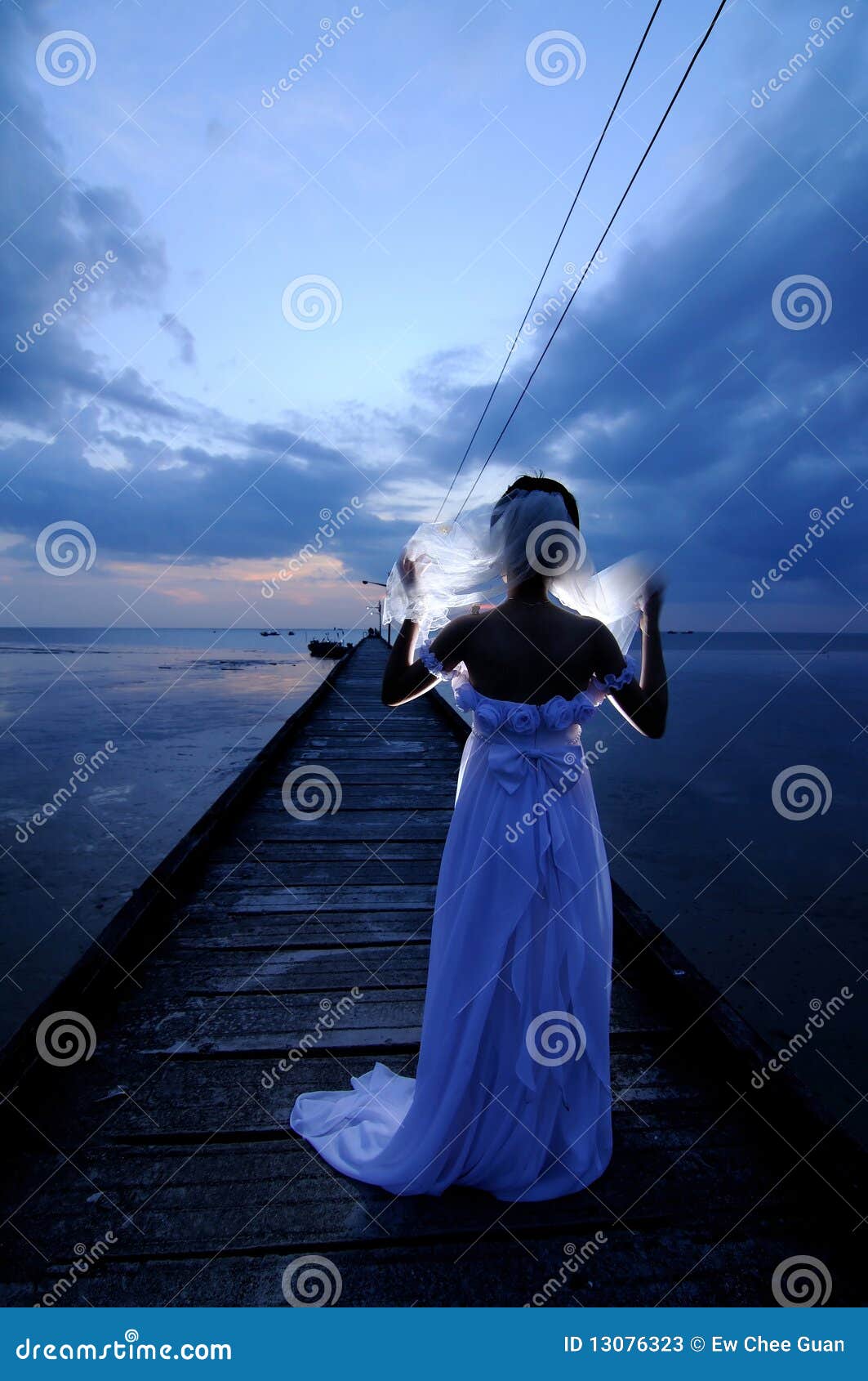 Bride stock image. Image of seaside, beauty, bride, glow - 13076323