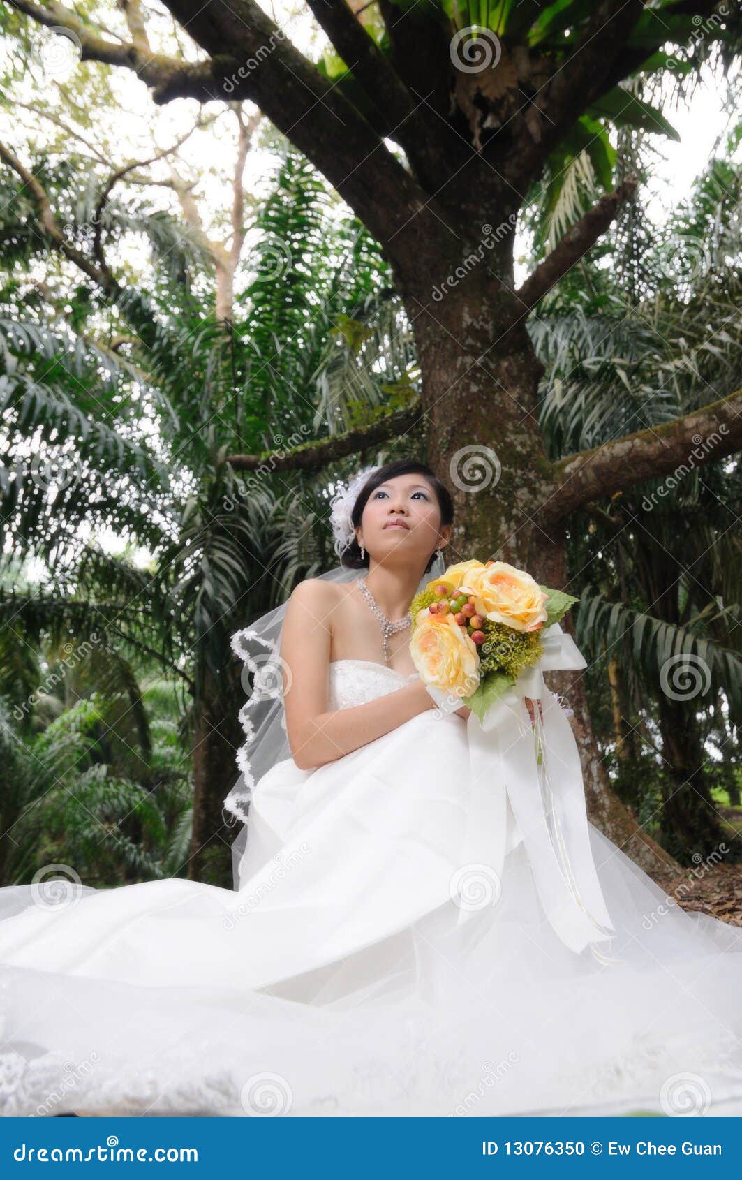 Bride stock photo. Image of colors, happiness, romantic - 13076350