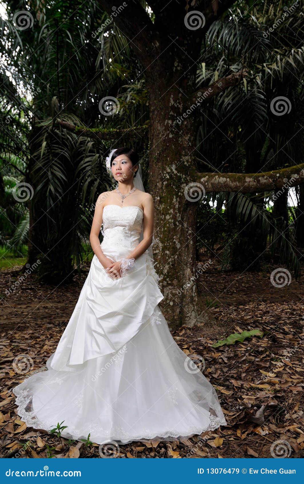 BRIDE stock image. Image of detail, relationship, romantic - 13076479