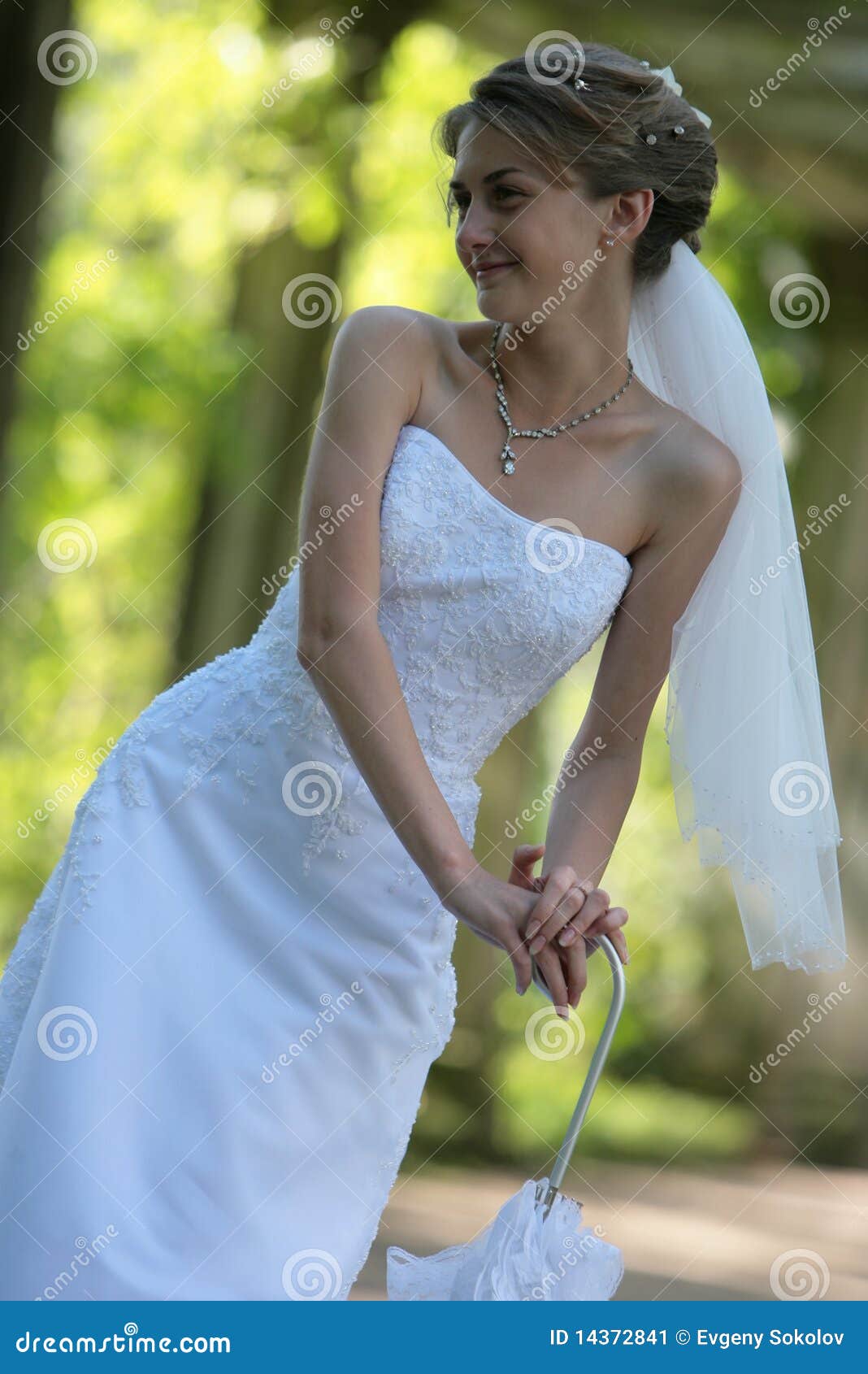 Bride stock image. Image of fashion, wife, wedding, female - 14372841