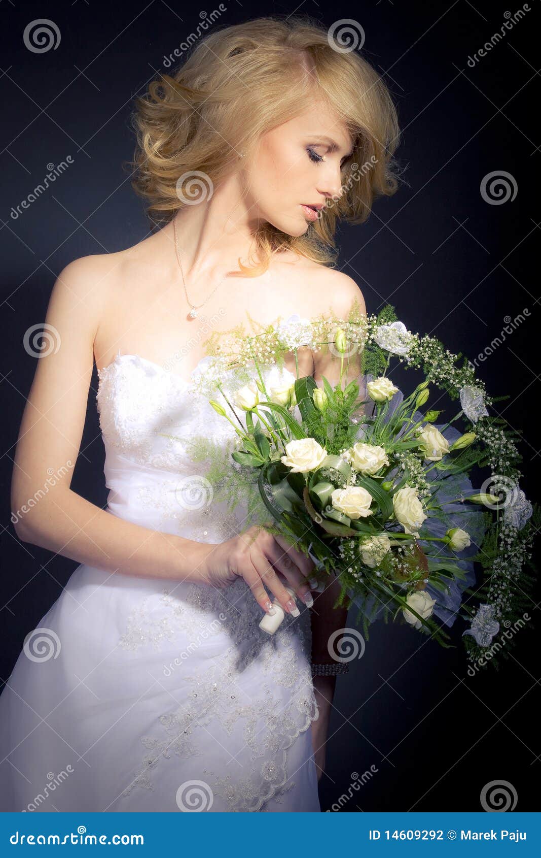 The Bride stock photo. Image of fashion, eyes, catwalk - 14609292