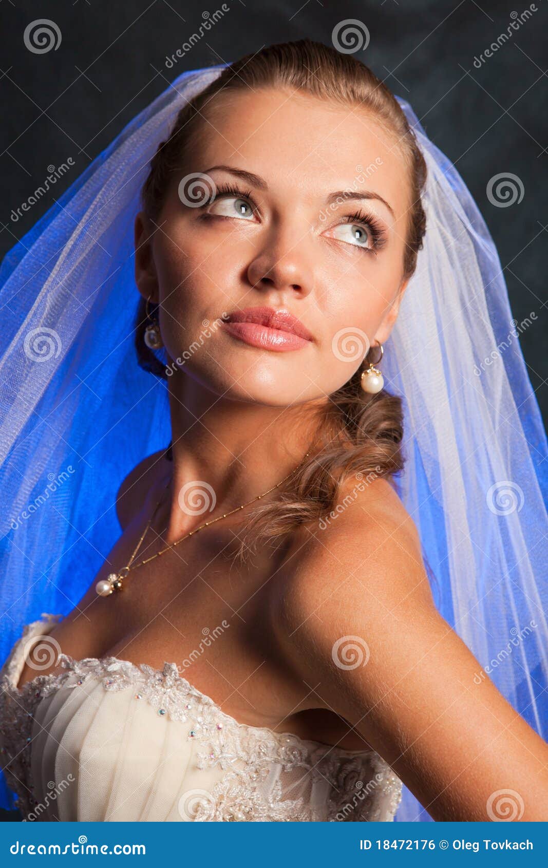 Bride stock photo. Image of copy, newlywed, dress, outdoors - 18472176