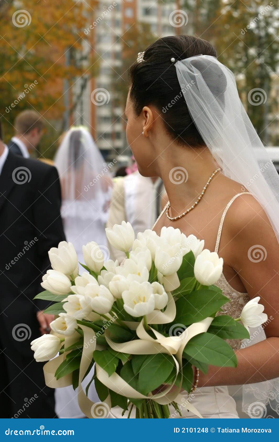 Bride stock photo. Image of bride, married, veil, tulips - 2101248