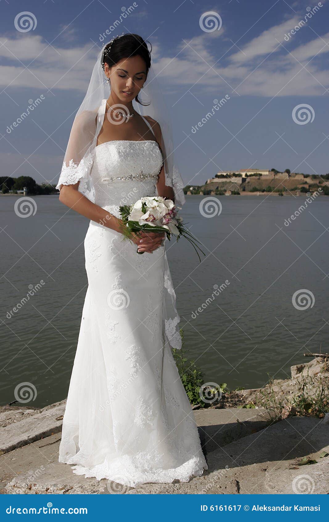 Bride stock image. Image of bride, beauty, romance, happy - 6161617