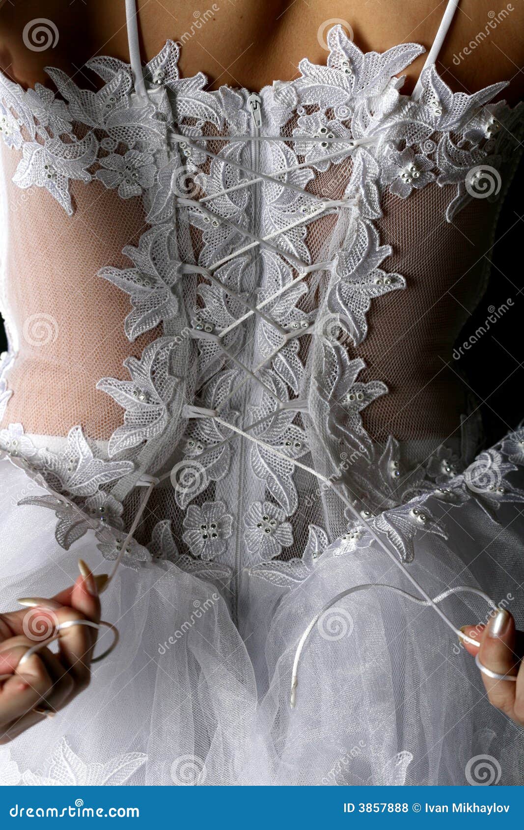 Bride back stock photo. Image of bride, beauty, beautiful - 3857888