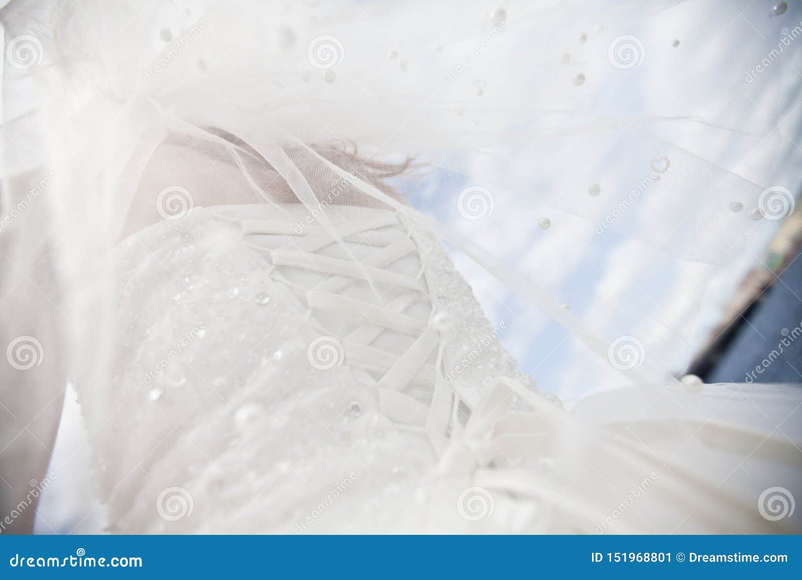 Bride from the back. stock image. Image of wedding, elegance - 151968801