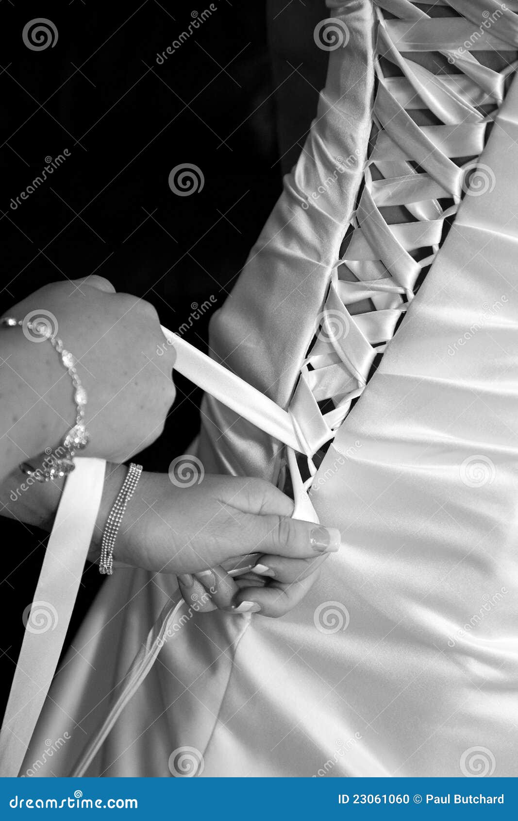Bride Being Fastened into Dress Stock Photo - Image of clothing ...