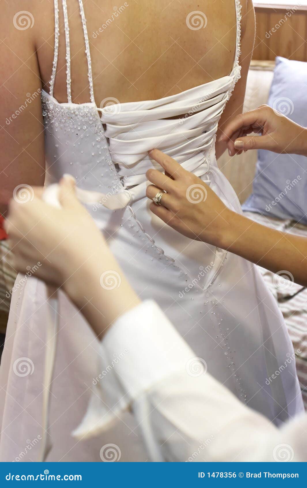 Bride Being Laced Up into Wedding Dress Stock Photo - Image of care ...