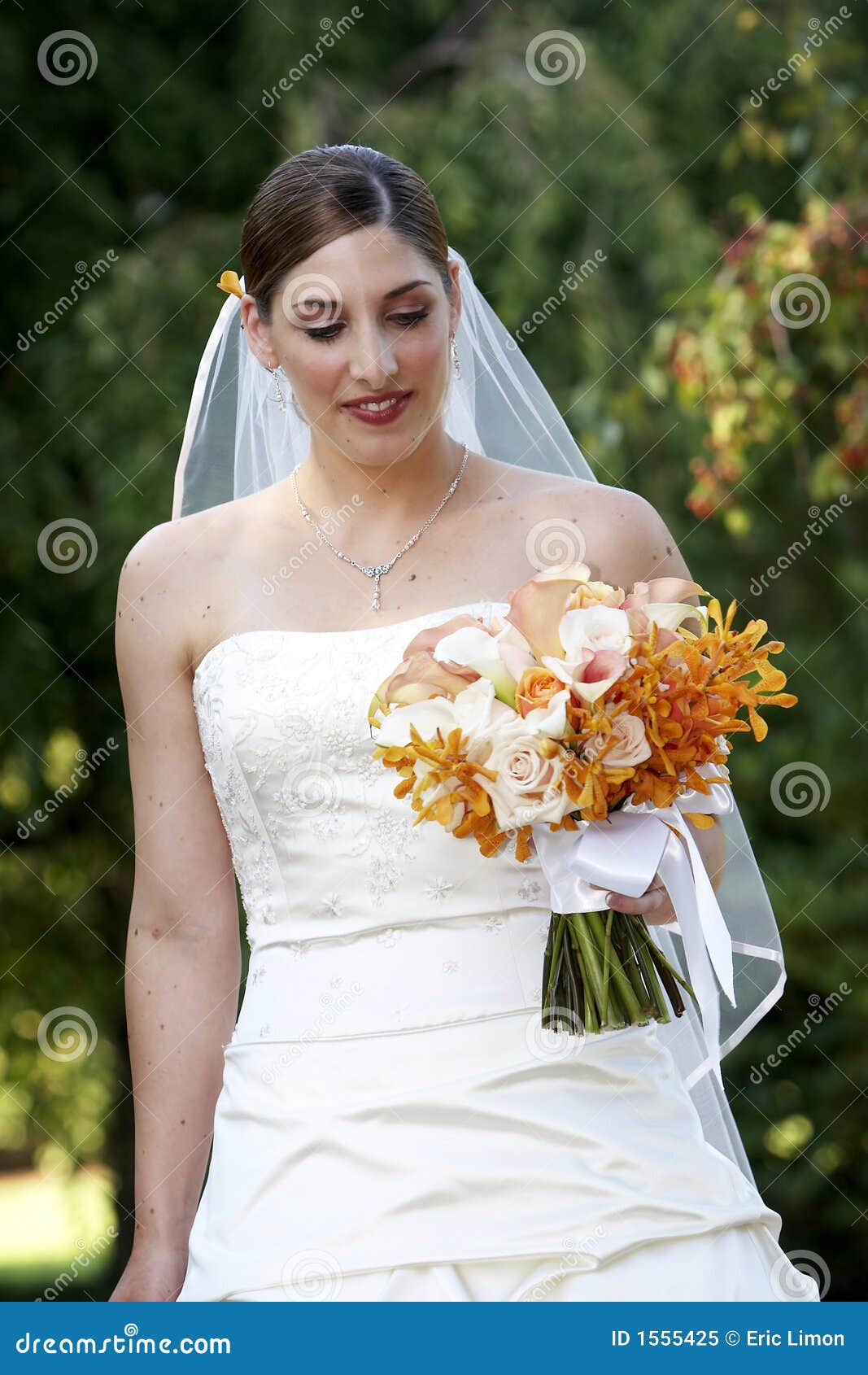 Bride Looking Down Her Wedding Bouquet Stock Photos - Free & Royalty ...