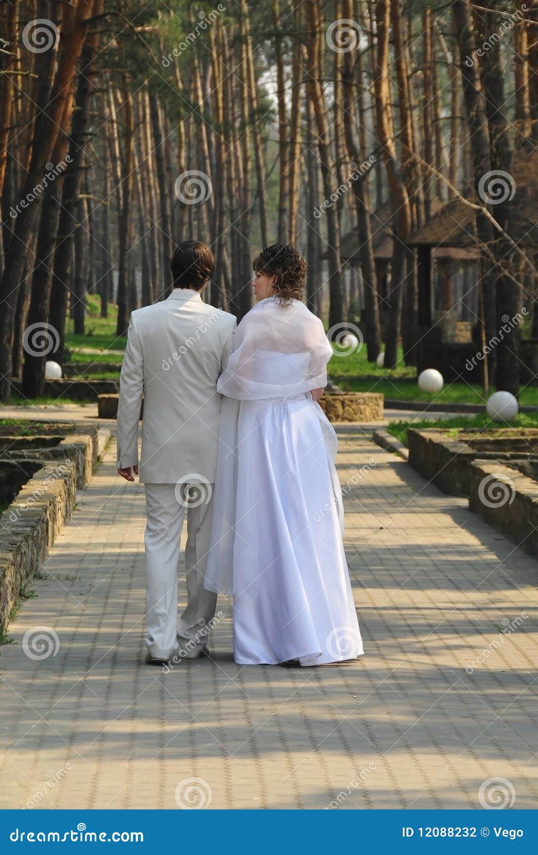 Bride and bridegroom stock photo. Image of celebrating - 12088232
