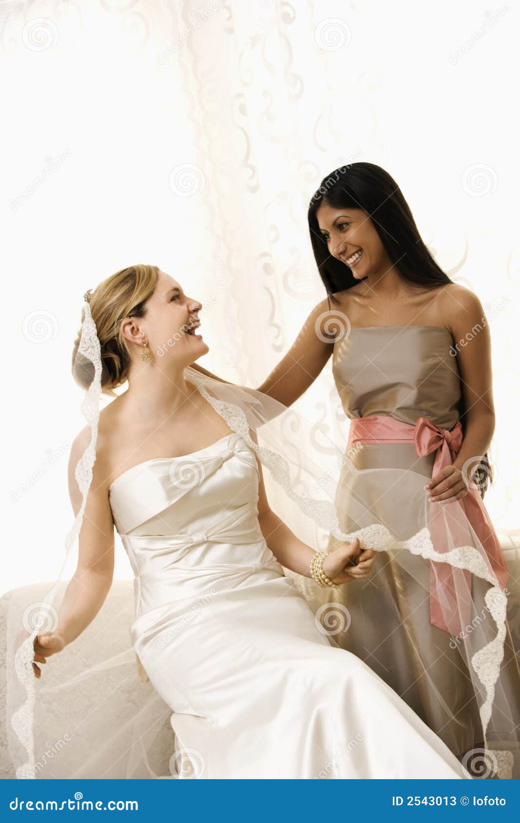 Bride and bridesmaid stock image. Image of photograph - 2543013