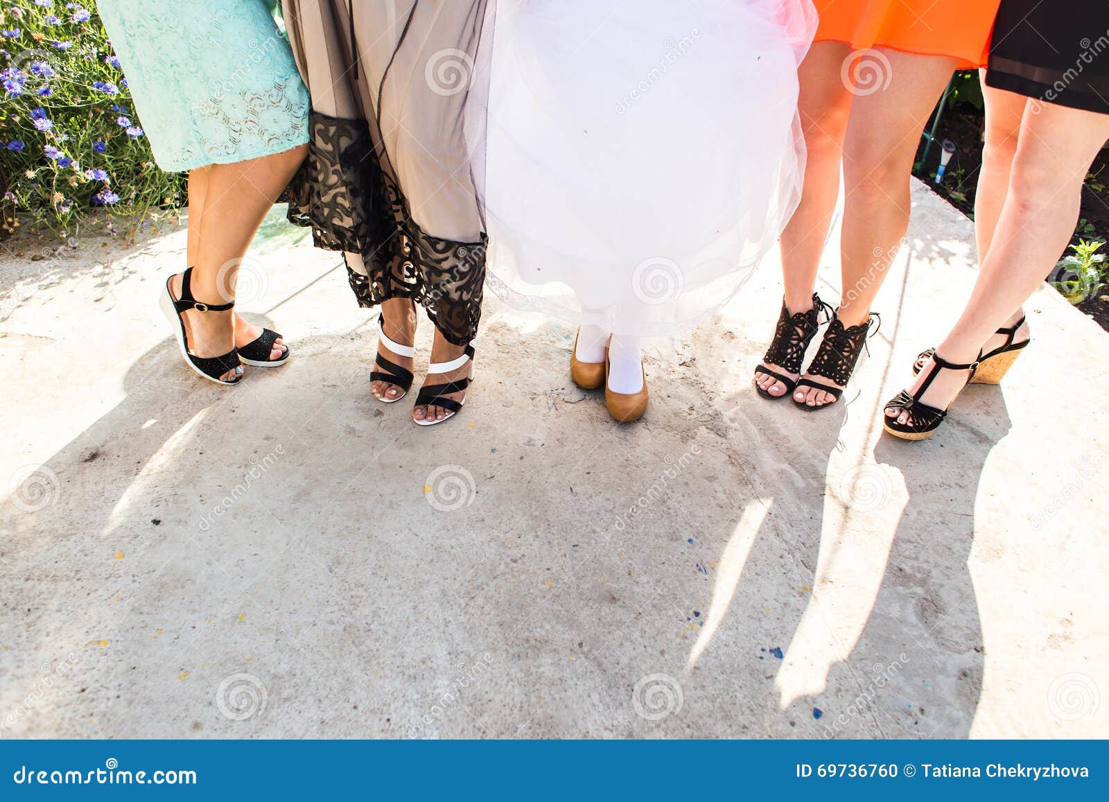 Bride and bridesmaids legs stock photo. Image of delicate - 69736760