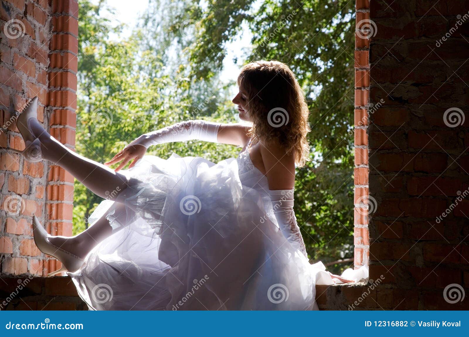 Bride in building site stock photo. Image of newly, construction - 12316882