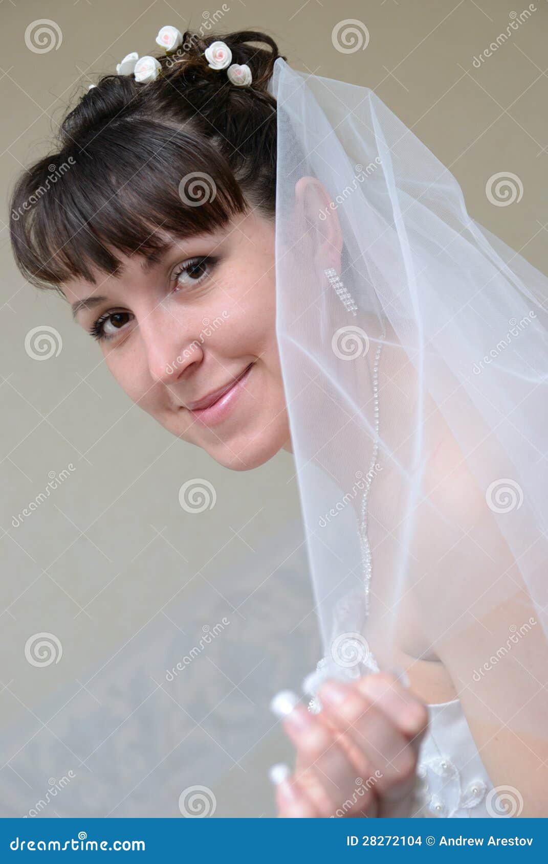 The Bride Covered with a Veil Looks Afar Stock Photo - Image of gown ...
