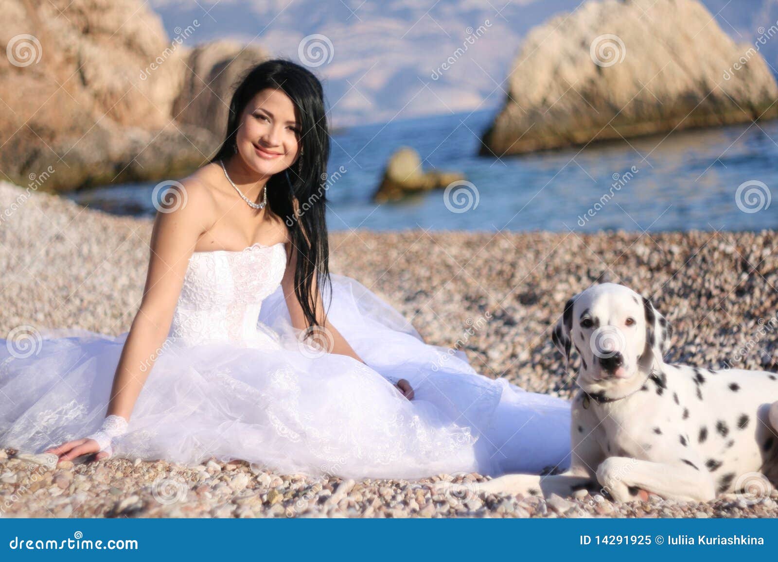 Bride and dog stock image. Image of pebble, girl, happy - 14291925