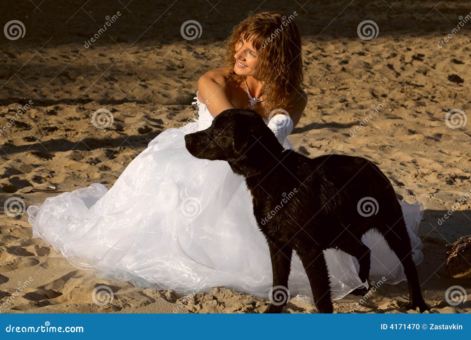 Bride and dog stock photo. Image of person, wedding, beauty - 4171470