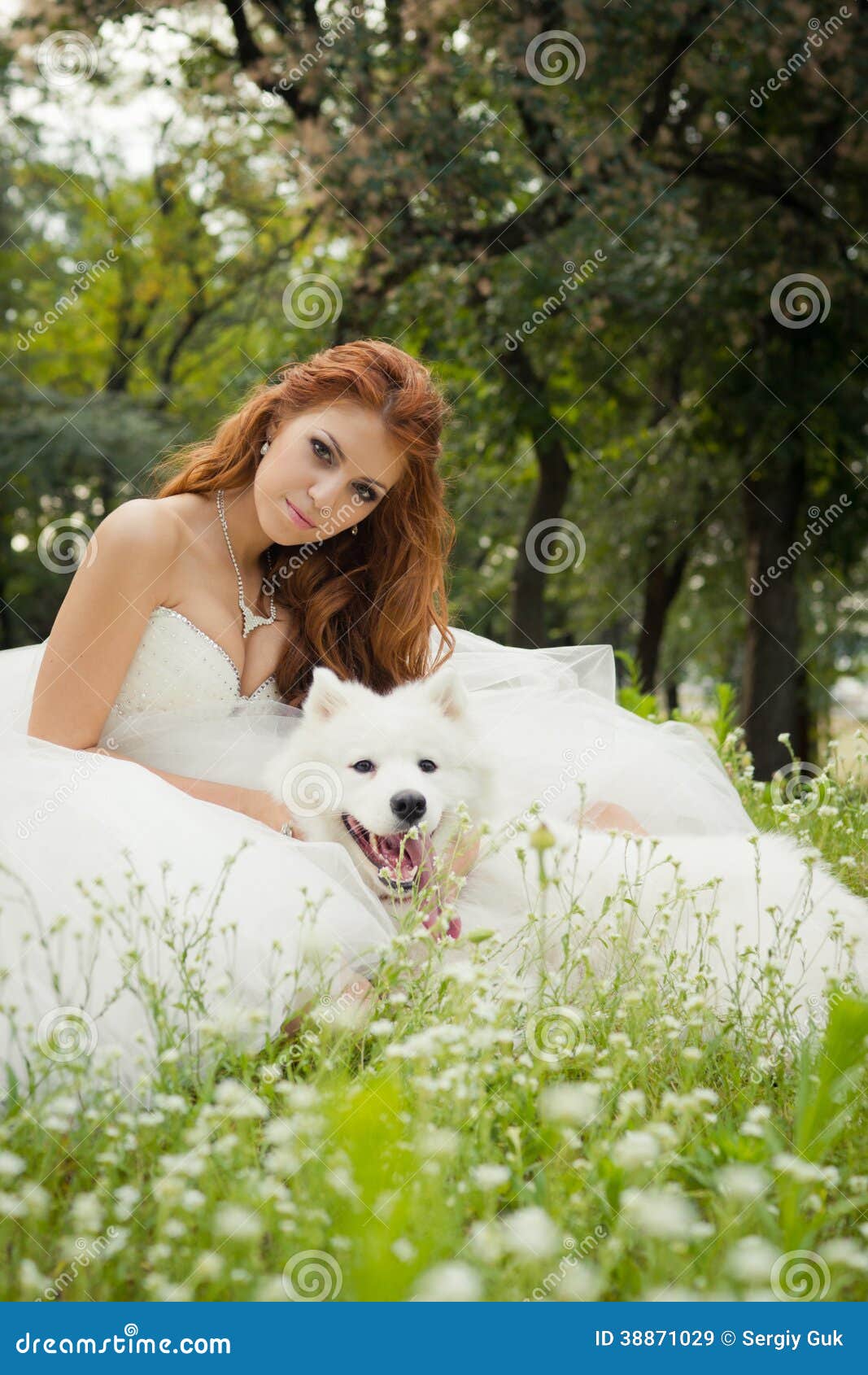 Bride with dog. stock image. Image of nature, young, grass - 38871029